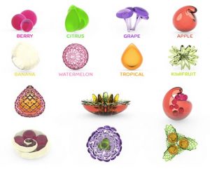 Fruit Maker - Haute Innovation